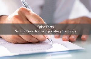 Amendment in Spice Form | Company Suggestion