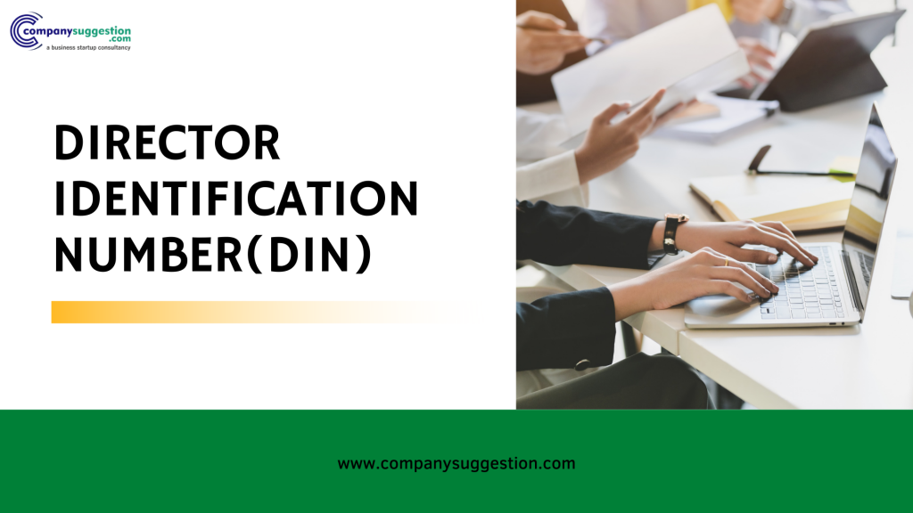 DIRECTOR IDENTIFICATION NUMBER (DIN) | Company Suggestion